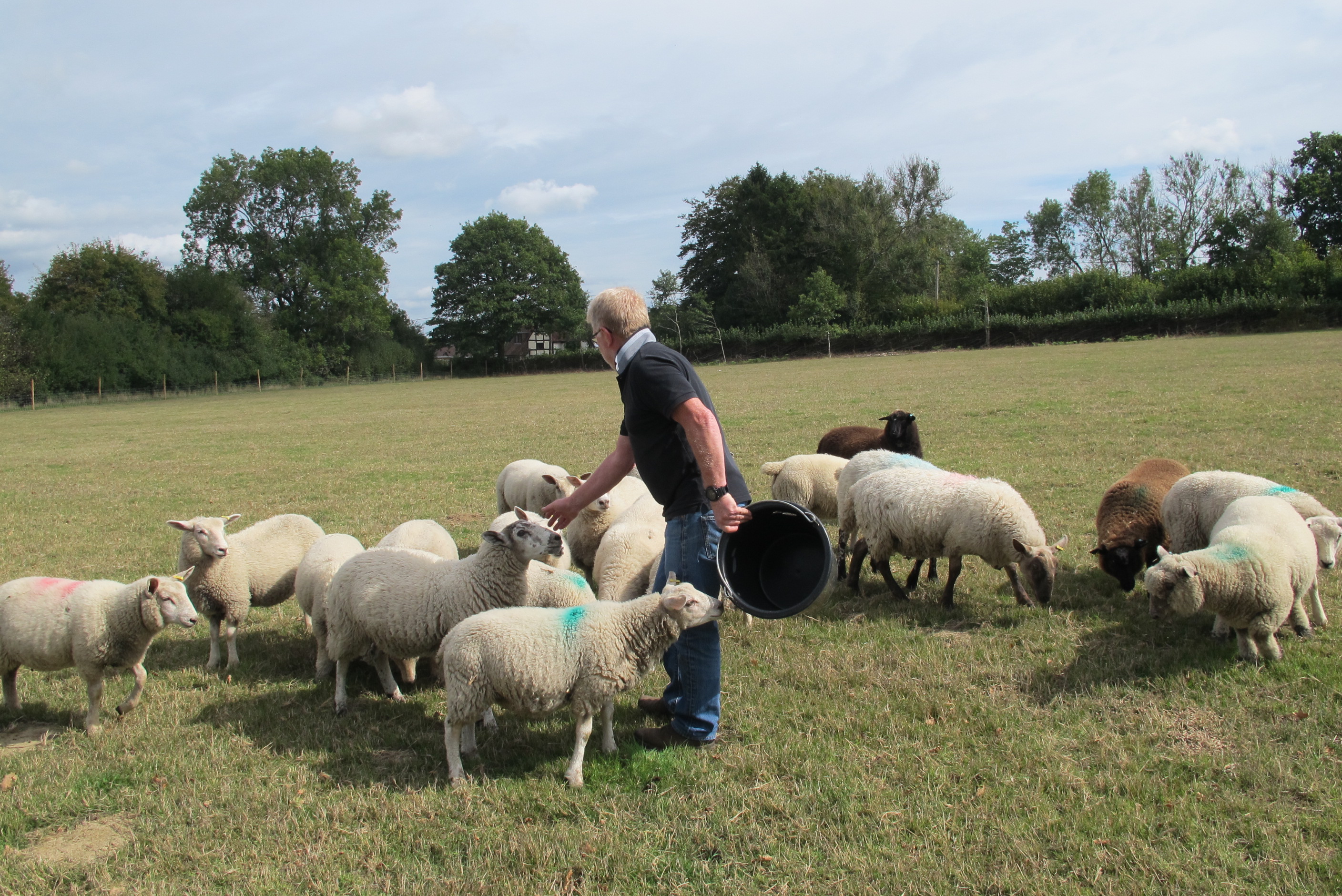 Producers and suppliers – Food Float